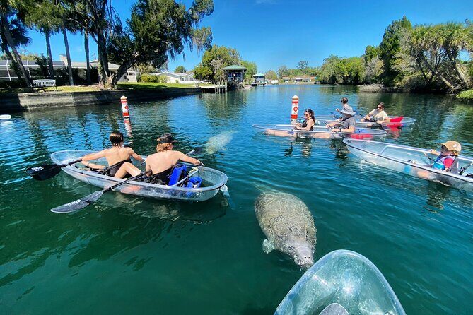 Clear Kayak Tour of Crystal River - Practical Tips for Your Experience