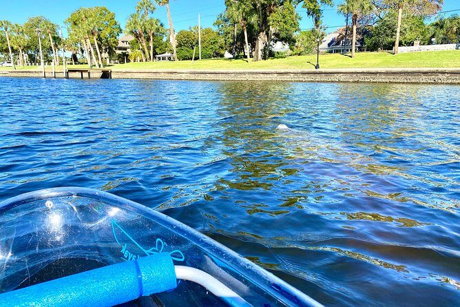 Clear Kayak Tour of Tarpon Springs | Manatee Season - Who Should Consider This Tour?