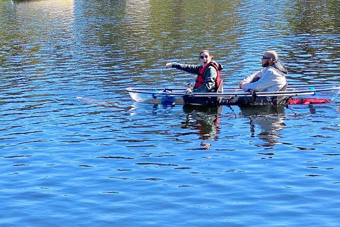 Clear Kayak Tour of Tarpon Springs | Manatee Season - Frequently Asked Questions