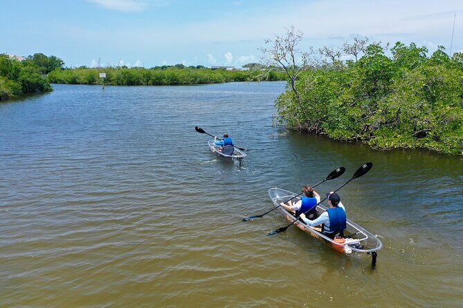 Clear Kayak Tour of Tarpon Springs Sponge Docks & Mangroves - Practical Tips for Participants