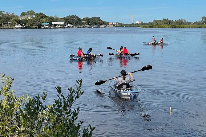 Clear Kayak Tour of Tarpon Springs Sponge Docks & Mangroves - The Sum Up