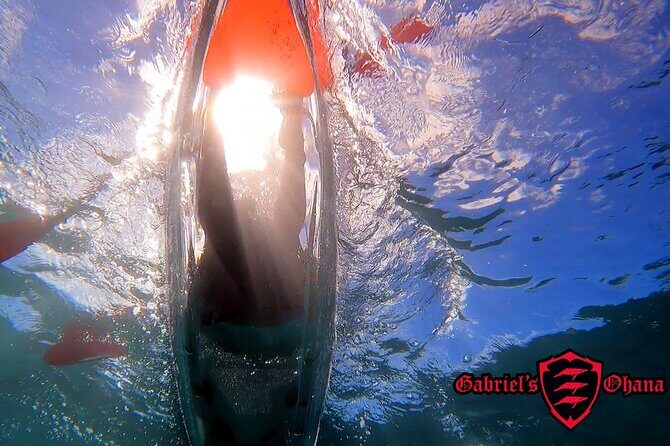 Clear Kayak Tour with Pontoons and Optional Snorkeling-Unlimited - An Honest Look at the Clear Kayak Tour with Pontoons and Optional Snorkeling in Maui