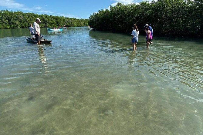 Clear Kayak Tours in Fort Pierce - Exploring Fort Pierce’s Mangrove Tunnels: An Authentic Water Adventure