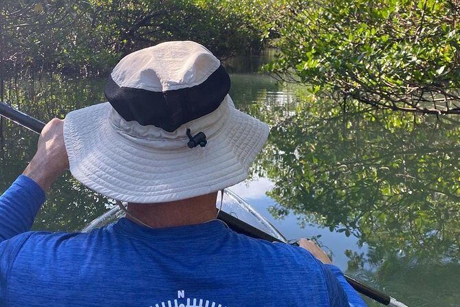Clear Kayak Tours in Fort Pierce - Authentic Reviews: Real Voices from Past Guests
