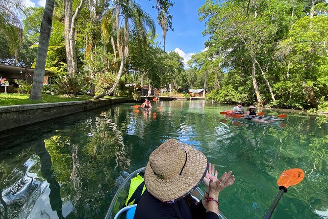 Clear Kayak Tours in Weeki Wachee - Who Should Consider This Tour?