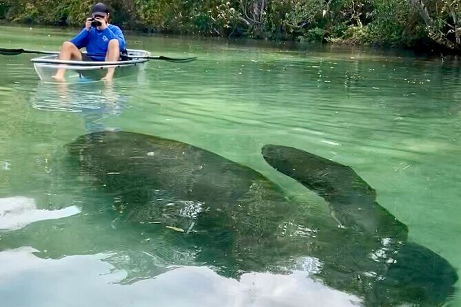 Clear Kayak Tours in Weeki Wachee - FAQs