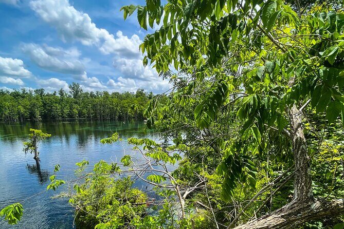 Clear Kayaking Eco Adventure Tour in Marianna - Discovering Marianna’s Underwater Beauty