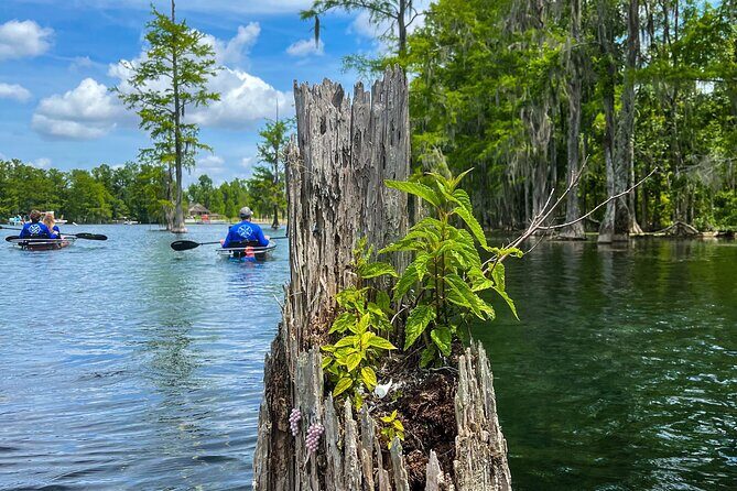 Clear Kayaking Eco Adventure Tour in Marianna - Practicalities and What’s Included