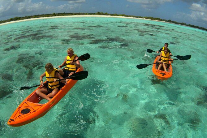 Clearbottom Mangrove Kayak & Snorkel tour - Who Will Love This Tour?