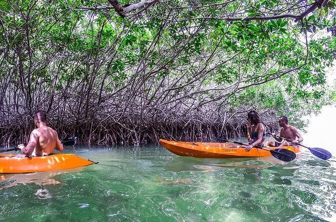 Clearbottom Mangrove Kayak & Snorkel tour - FAQ