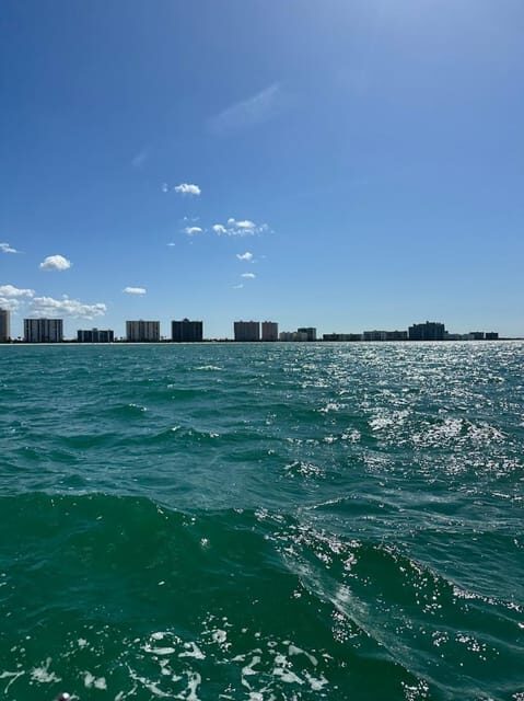 Clearwater: 1 Hour Jetski Dolphin Tour with Guide - The Sum Up