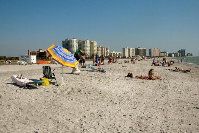 Clearwater Beach Bus Express - The Travel Experience: What You Need to Know