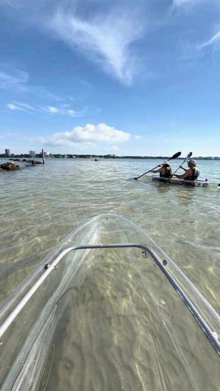 Clearwater Beach: Clear Kayak Tour with an ecotour guide - What to Expect from the Clearwater Clear Kayak Tour