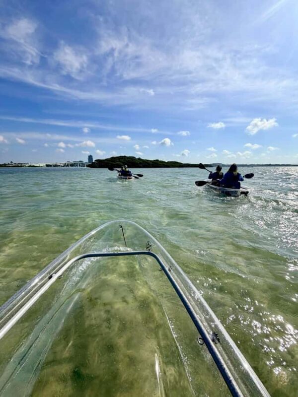 Clearwater Beach: Clear Kayak Tour with an ecotour guide - Who Will Love This Tour?