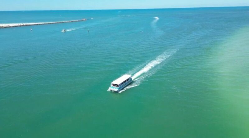 Clearwater Beach: Dolphin & Island Sandbar Cruise - Practical Tips for a Smooth Trip