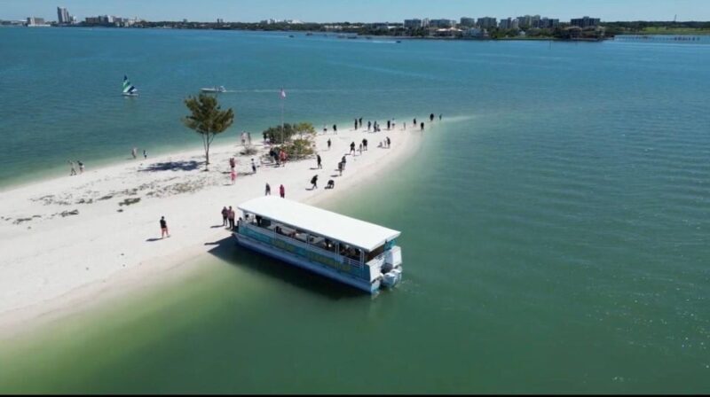 Clearwater Beach: Dolphin & Island Sandbar Cruise - The Island Sandbar Stop