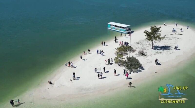 Clearwater Beach: Dolphin & Island Sandbar Cruise - The Review Buzz: What Travelers Love