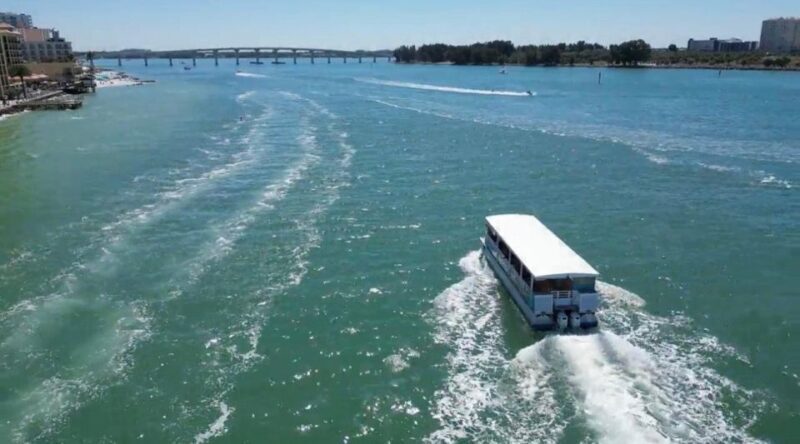 Clearwater Beach: Dolphin & Island Sandbar Cruise - The Itinerary in Detail