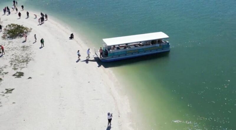 Clearwater Beach: Dolphin & Island Sandbar Cruise - Accessibility and Family-Friendliness