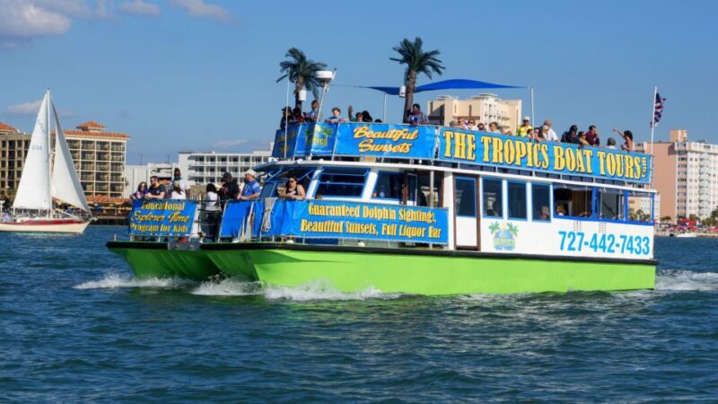 Clearwater: Cruise with Guaranteed Dolphin Sightings - What to Expect on the Clearwater Dolphin Cruise