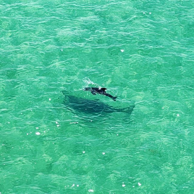 Clearwater: Guided Clear Kayaking Tour - A Guide to the Clearwater: Guided Clear Kayaking Tour