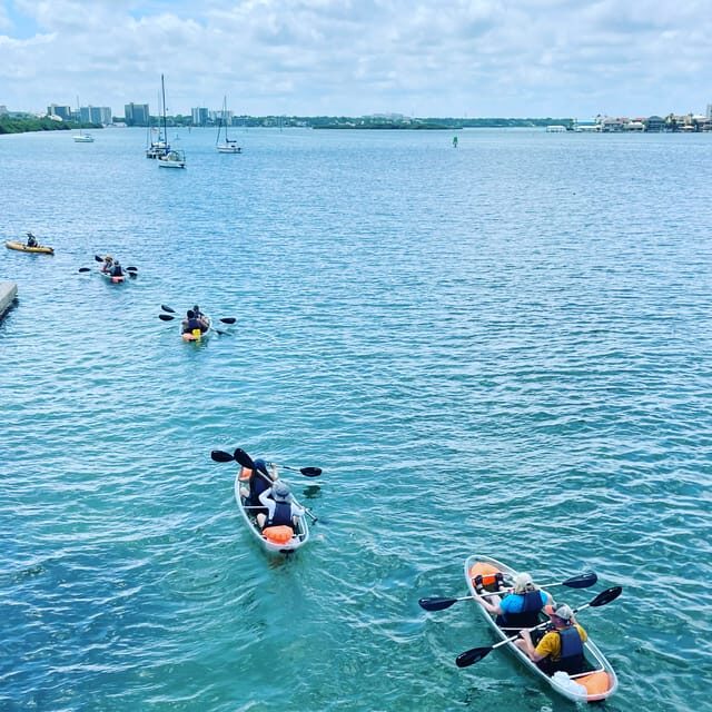 Clearwater: Guided Clear Kayaking Tour - Practical Considerations