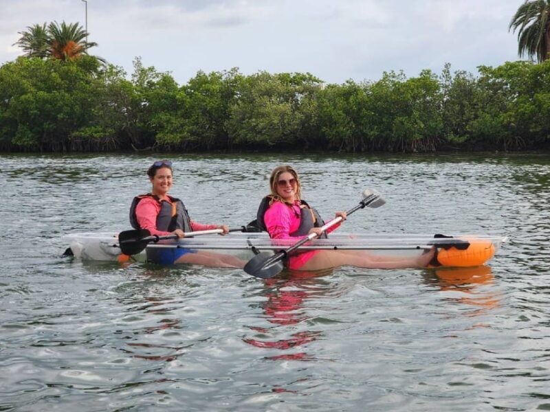 Clearwater: Guided Clear Kayaking Tour - Authentic Feedback from Participants