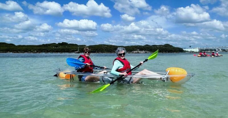 Clearwater: Guided Clear Kayaking Tour - Exploring the Clearwater: Guided Clear Kayaking Tour