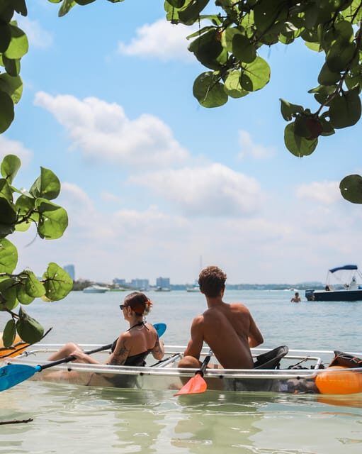Clearwater: Guided Clear Kayaking Tour - A Closer Look at the Experience