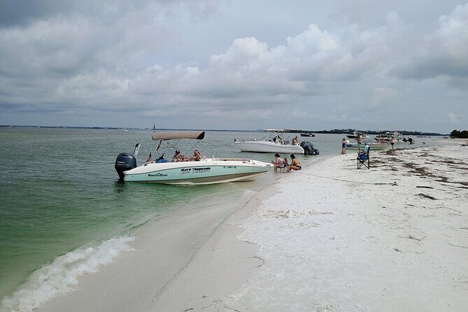 Clearwater Island Escape  Private 4-Hour Half-Day Cruise - What Sets This Tour Apart?