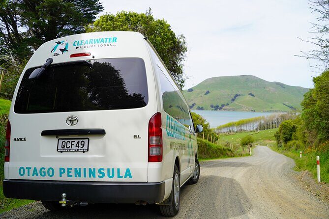 Clearwater Private Penguin & Wildlife Tour from Port Otago (5hrs) - Comfort, Convenience, and Practicalities