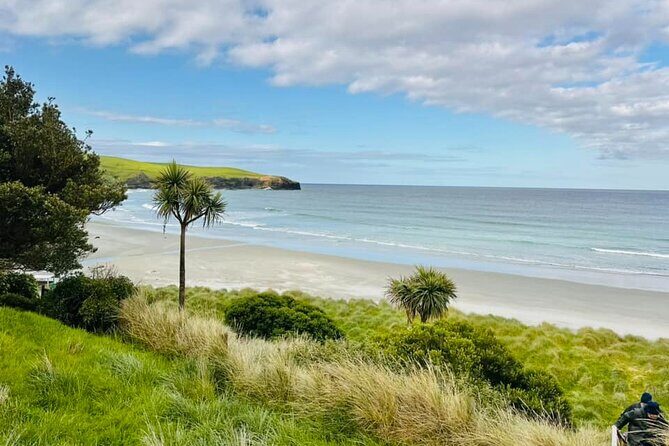 Clearwater Wildlife Tours (small group 10max) Otago Peninsula - Analyzing the Experience: What Travelers Say