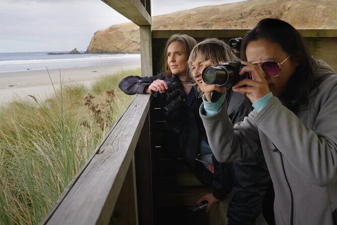 Clearwater Wildlife Tours (small group 10max) Otago Peninsula - Practical Considerations