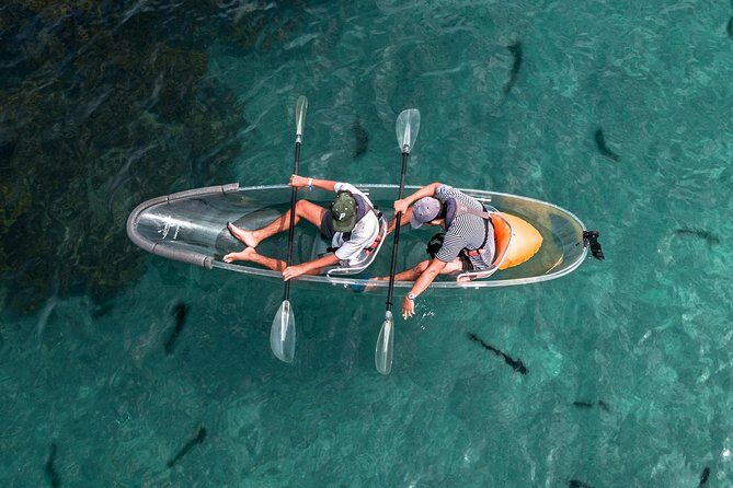 Clearyak hire at Goat Island Marine Reserve - Key Points