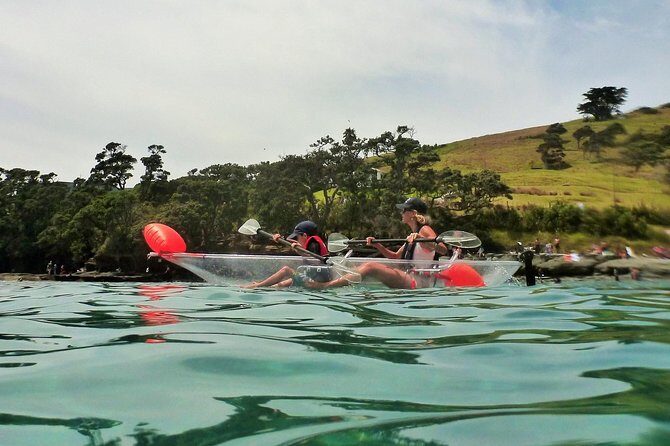 Clearyak hire at Goat Island Marine Reserve - Cost and Value