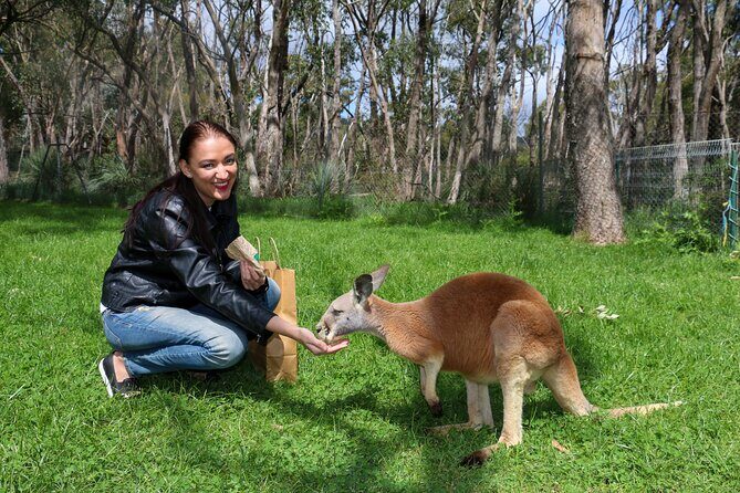 Cleland Wildlife Park Experience - from Adelaide including Mt Lofty Summit - Who Will Love This Experience?