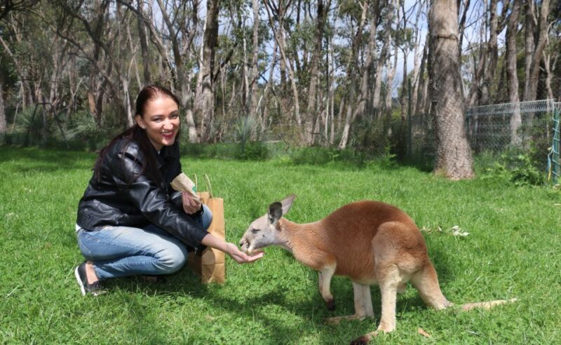 Cleland Wildlife Park Experience with Mount Lofty Summit - FAQs About This Tour