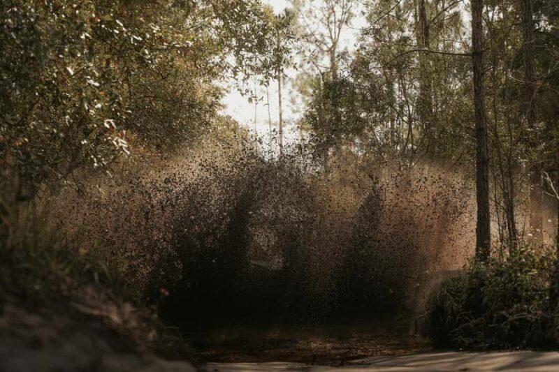 Clermont: Off Road UTV Experience - 1 HR - Frequently Asked Questions