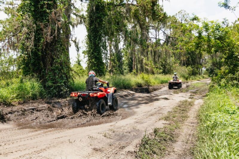 Clermont: Single-seat ATV Quad Bike Adventure - Authentic Experiences Told by Visitors