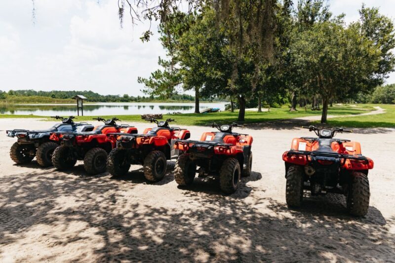 Clermont: Single-seat ATV Quad Bike Adventure - Why This Adventure Offers Real Value
