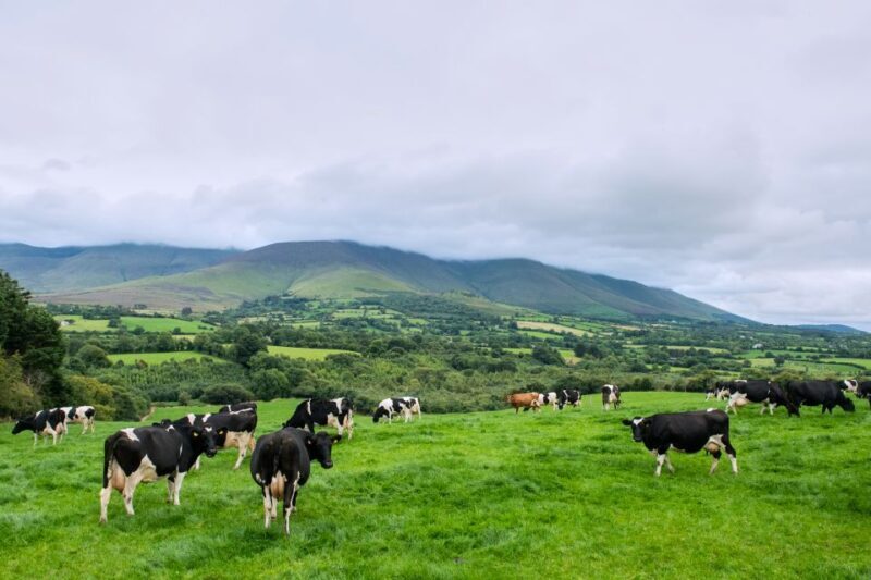 Cliffs of Moher and Blarney 2-Day Tour from Dublin - Key Points