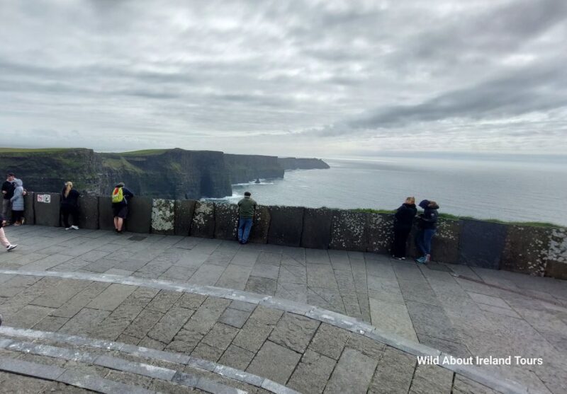 Cliffs of Moher and National Park Private Limousine Tour - An In-Depth Look at the Cliffs of Moher and Burren Private Limousine Tour
