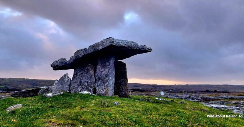 Cliffs of Moher and National Park Private Limousine Tour - Who Is This Tour Best For?