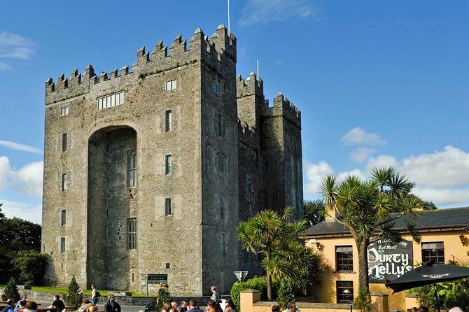 Cliffs of Moher Private Full Day Tour From Dublin - Practical Details & Additional Considerations