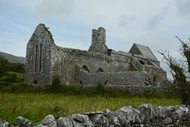 Cliffs of Moher & Sheepdog Demonstrations from Galway - Is This Tour Good Value?