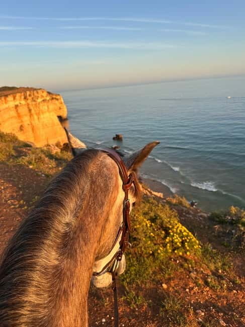 Cliffside Horseback Riding in the Algarve - A Scenic Ride with a Personal Touch