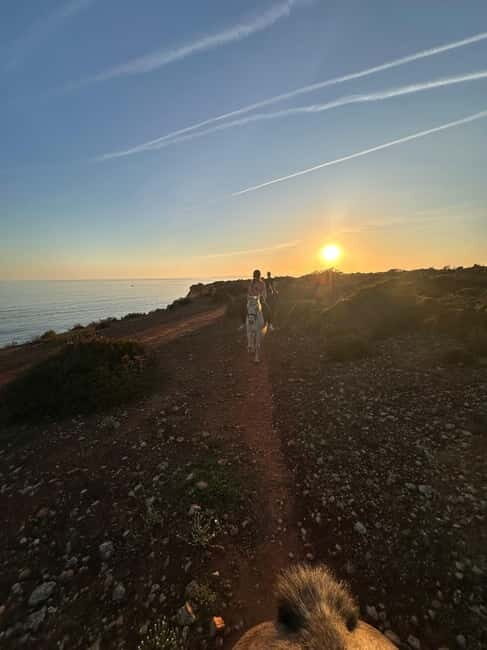 Cliffside Horseback Riding in the Algarve - Who Will Love This Experience?