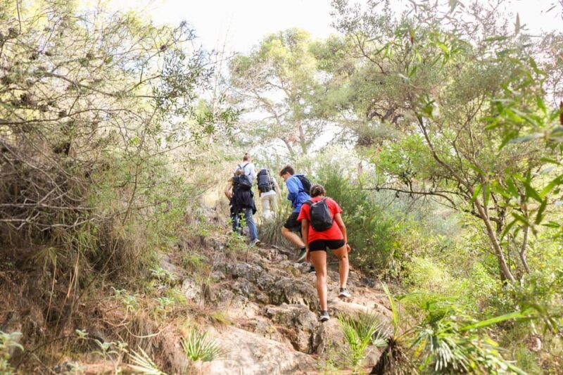 Climb the La Concha: Guided Private Hiking Trip - Does the Price Reflect the Experience?