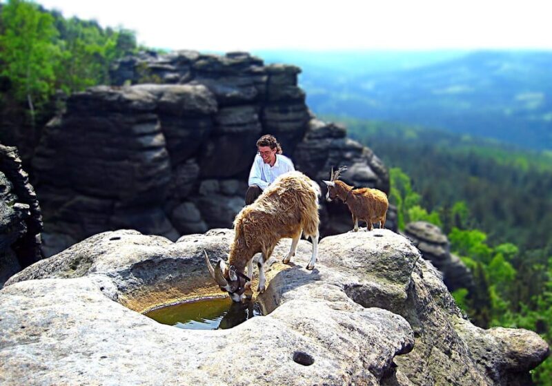 Climb the mountains together with goats - Key takeaways
