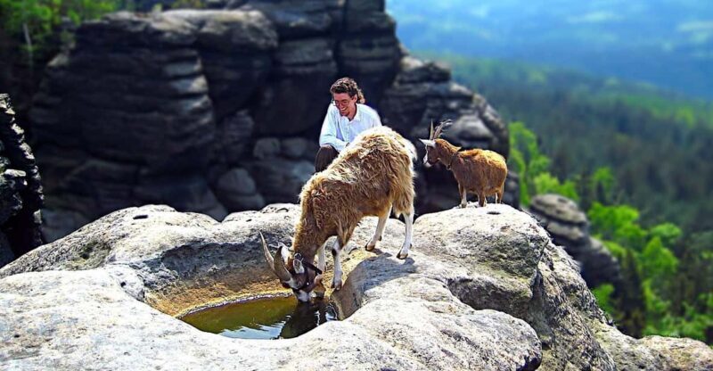 Climb the mountains together with goats - The Value of the Experience
